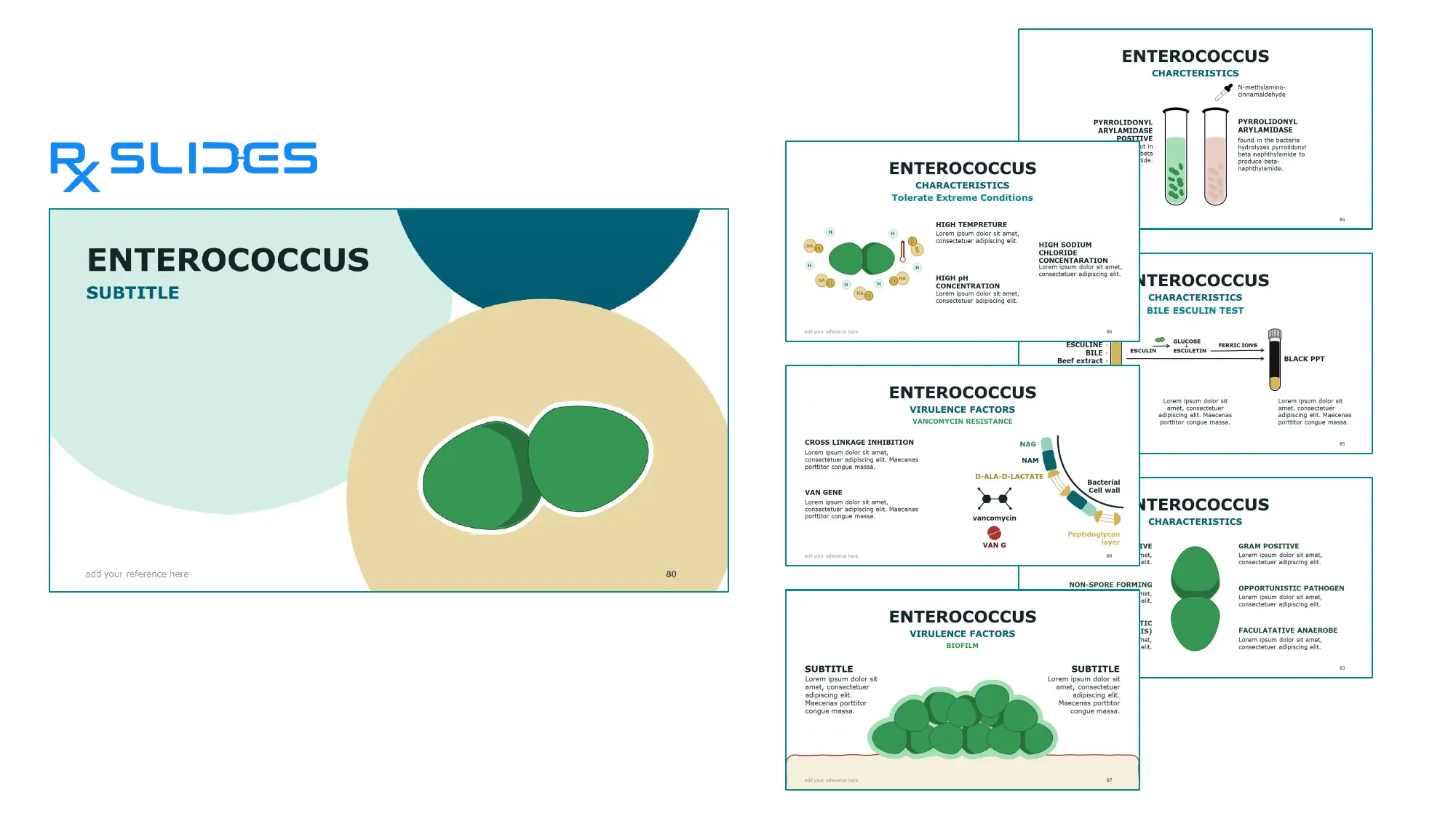 Download Bacteriology PowerPoint Template | RxSlides